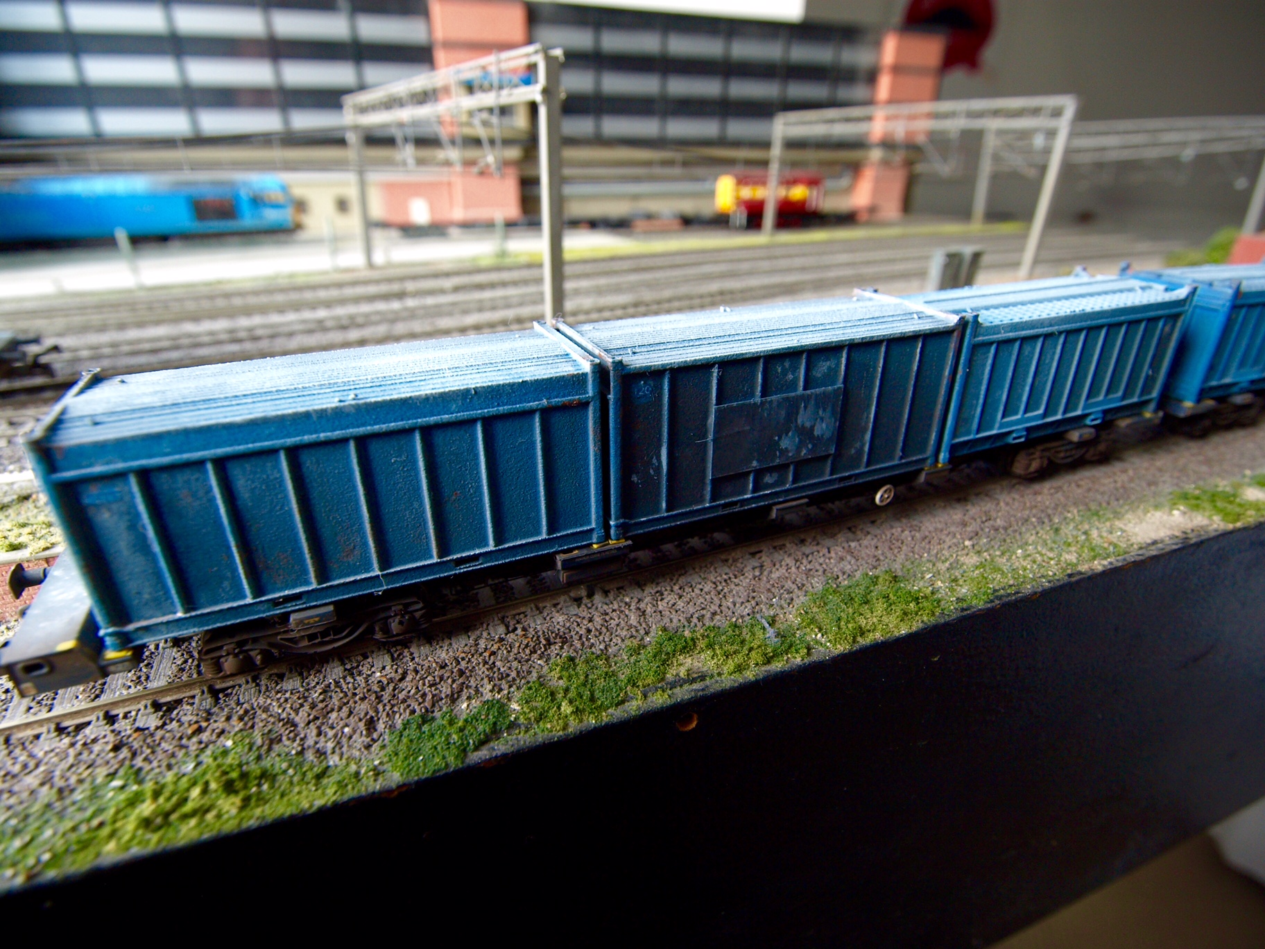 Wild Boar Models